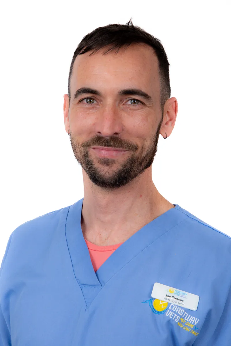 Meet Our Team | Coastway Vets