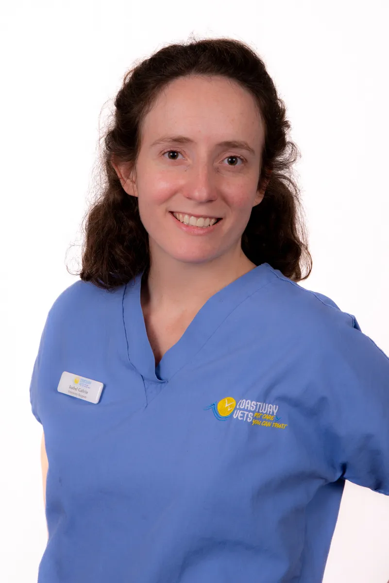 Meet Our Team | Coastway Vets